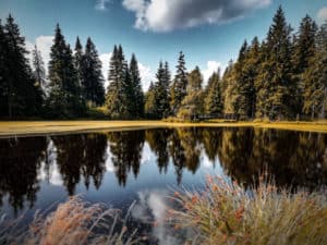 Co navštívit v západních Čechách? 44 tipů na nejkrásnější místa 🏰