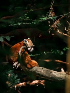 101 skvělých tipů, kam na výlet s dětmi + MAPA ke stažení