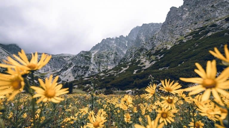 18 Things to do in the High Tatras, Slovakia: Best hikes (+ map)