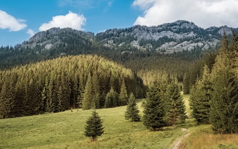 18 Best Hikes in the Low Tatras, Slovakia (+ map): Things to do in Low ...