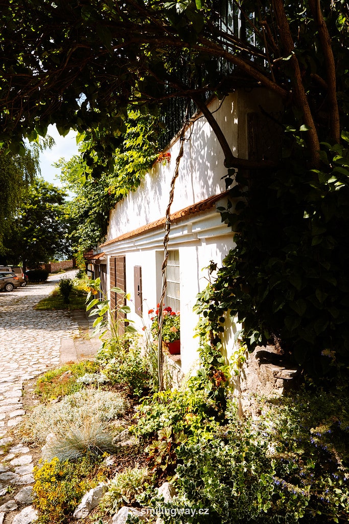 Mikulov: 9 tipů na památky, co navštívit a vidět v Mikulově (+ mapa)