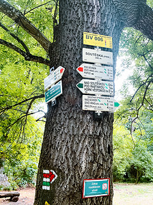 CHKO Pálava: 10 tipů na nejlepší výlety, co navštívit na Pálavě a okolí ...