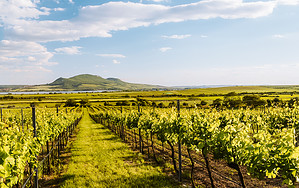 CHKO Pálava: 10 tipů na nejlepší výlety, co navštívit na Pálavě a okolí ...