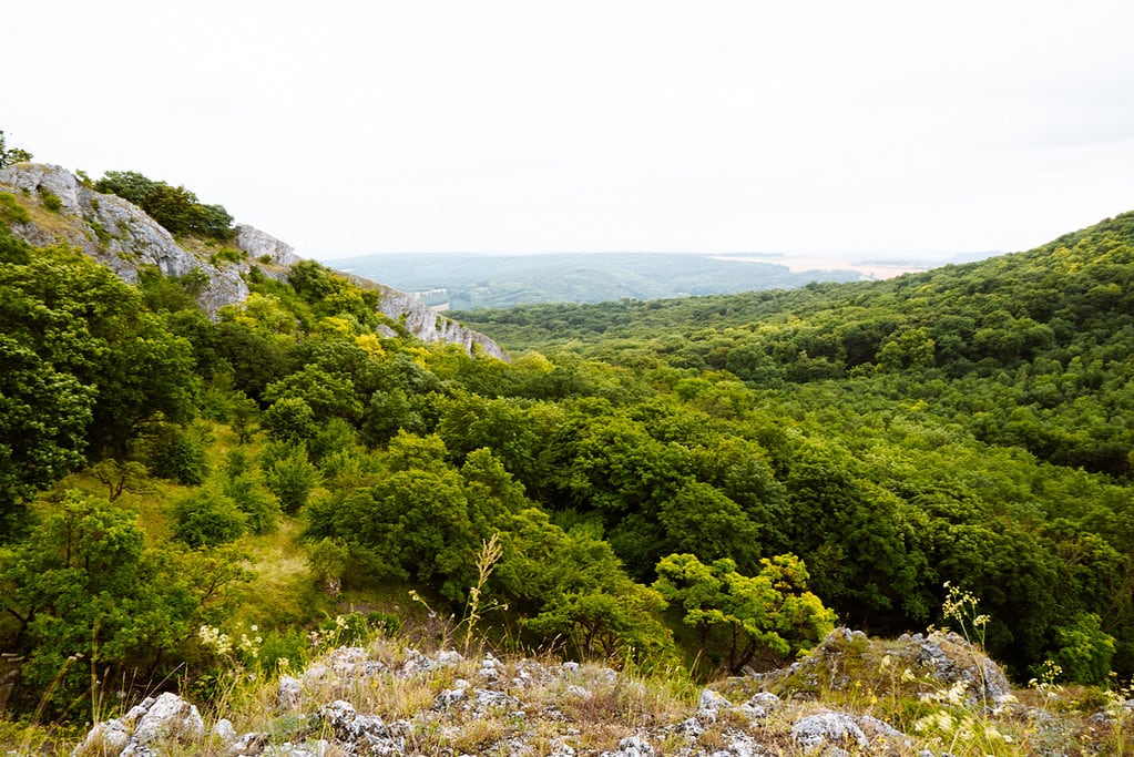 CHKO Pálava: 10 tipů na nejlepší výlety, co navštívit na Pálavě a okolí ...