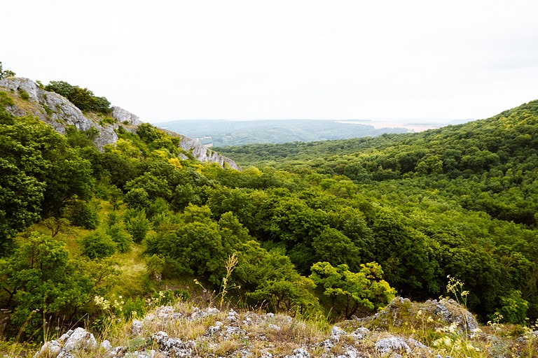 CHKO Pálava: 10 tipů na nejlepší výlety, co navštívit na Pálavě a okolí ...