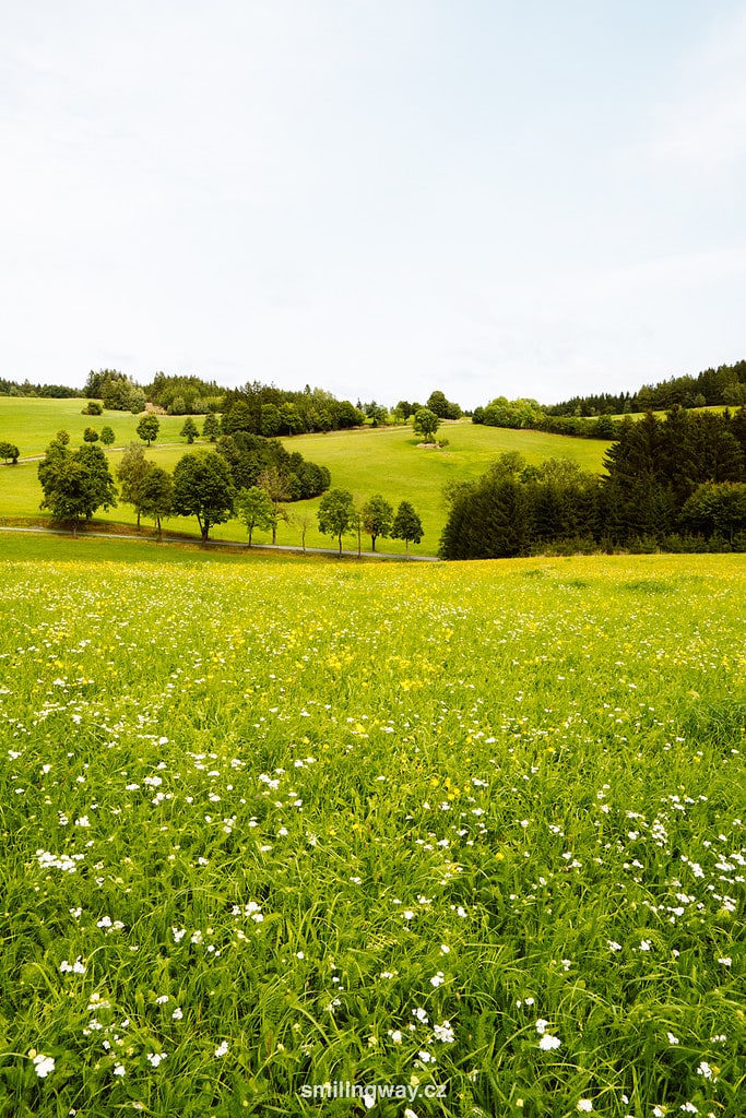 13 tipů na nejlepší výlety, kam v CHKO Žďárské vrchy (+ mapa)