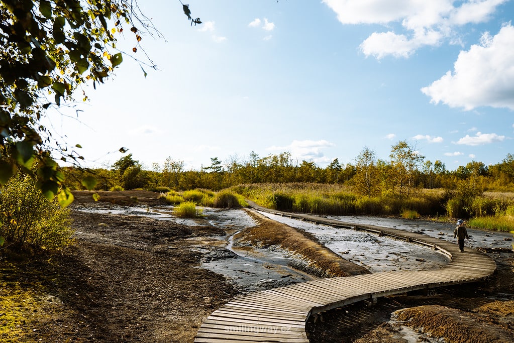 Cheb: 10 míst, která musíte vidět (mapa a tipy na výlety)