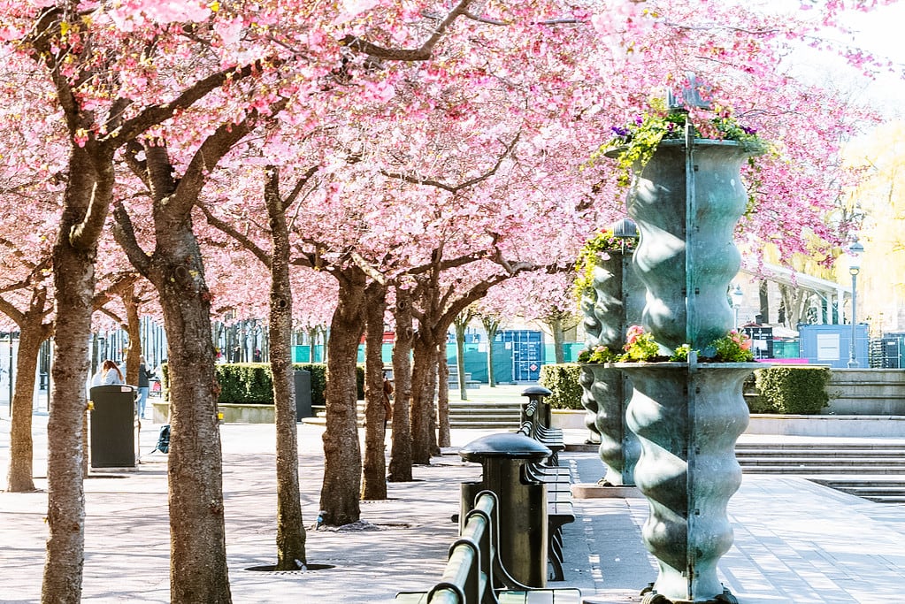 Stockholm Travel Guide - transport, prices and other useful tips