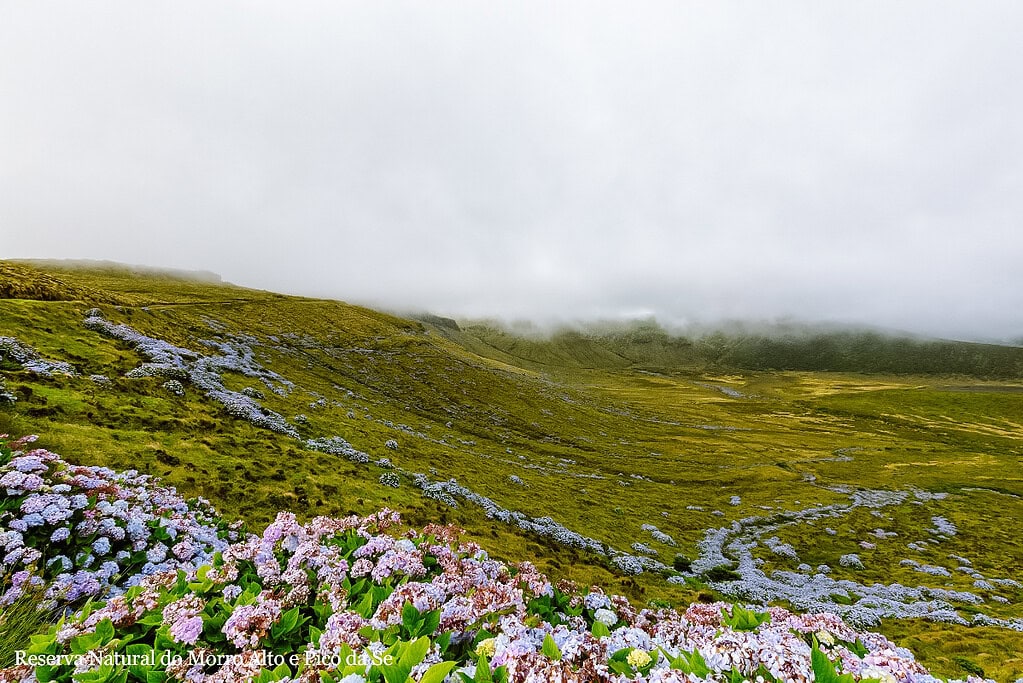 11 tipů na trasy a co vidět na ostrově Flores, Azory (+ mapa) - průvodce