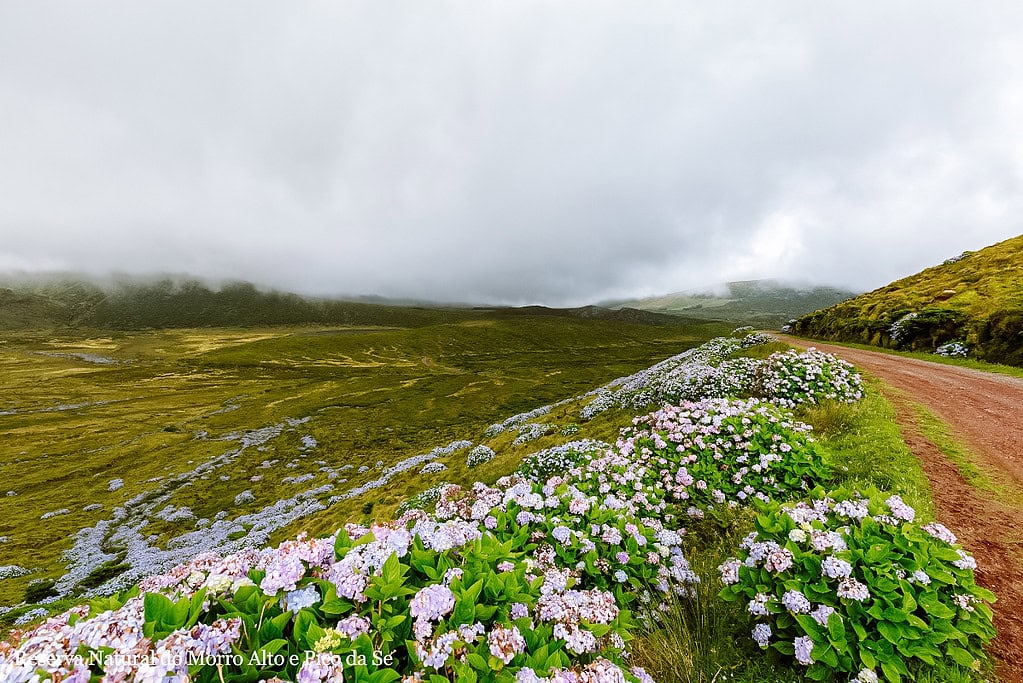11 tipů na trasy a co vidět na ostrově Flores, Azory (+ mapa) - průvodce
