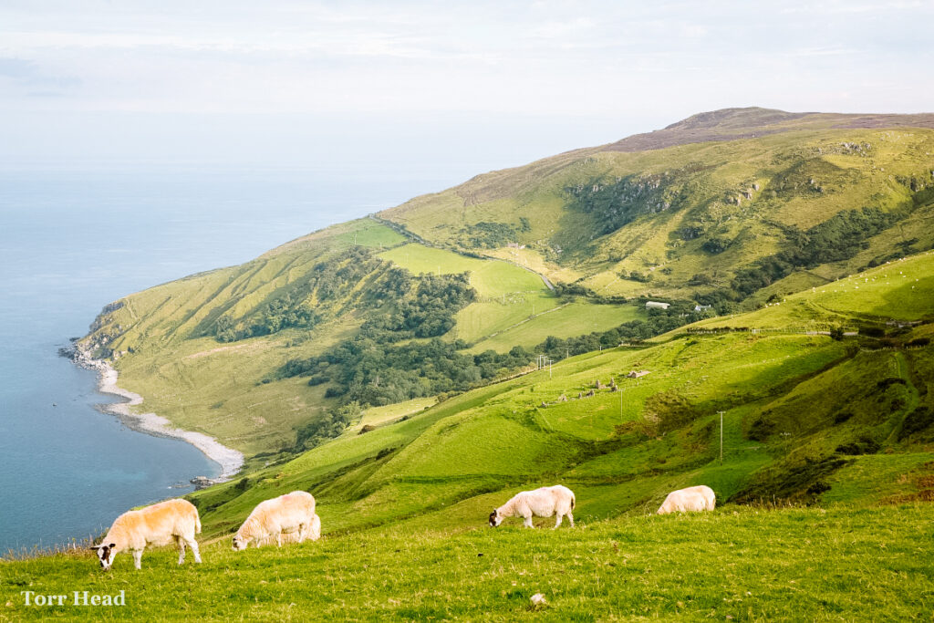 11 nejkrásnějších míst, co navštívit v Severním Irsku (+ mapa a ...
