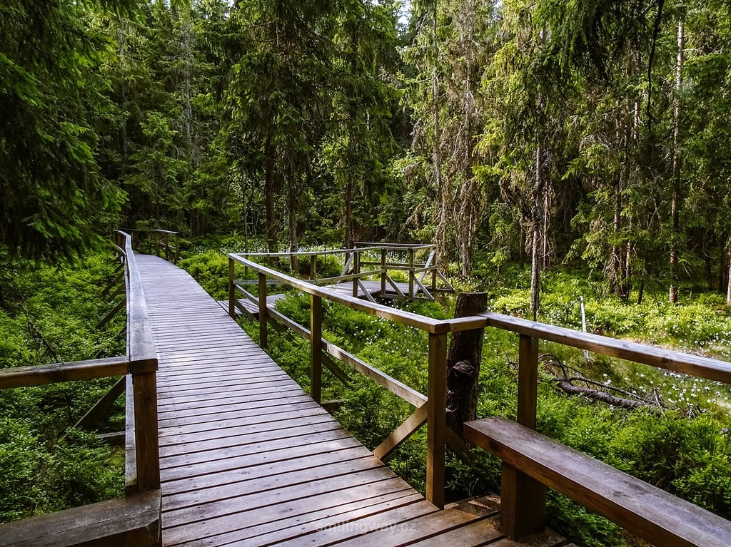 21 nejkrásnějších míst, co navštívit ve Slavkovském lese (+ mapa)